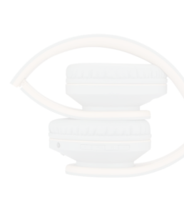 PowerLocus P2 - PowerLocus